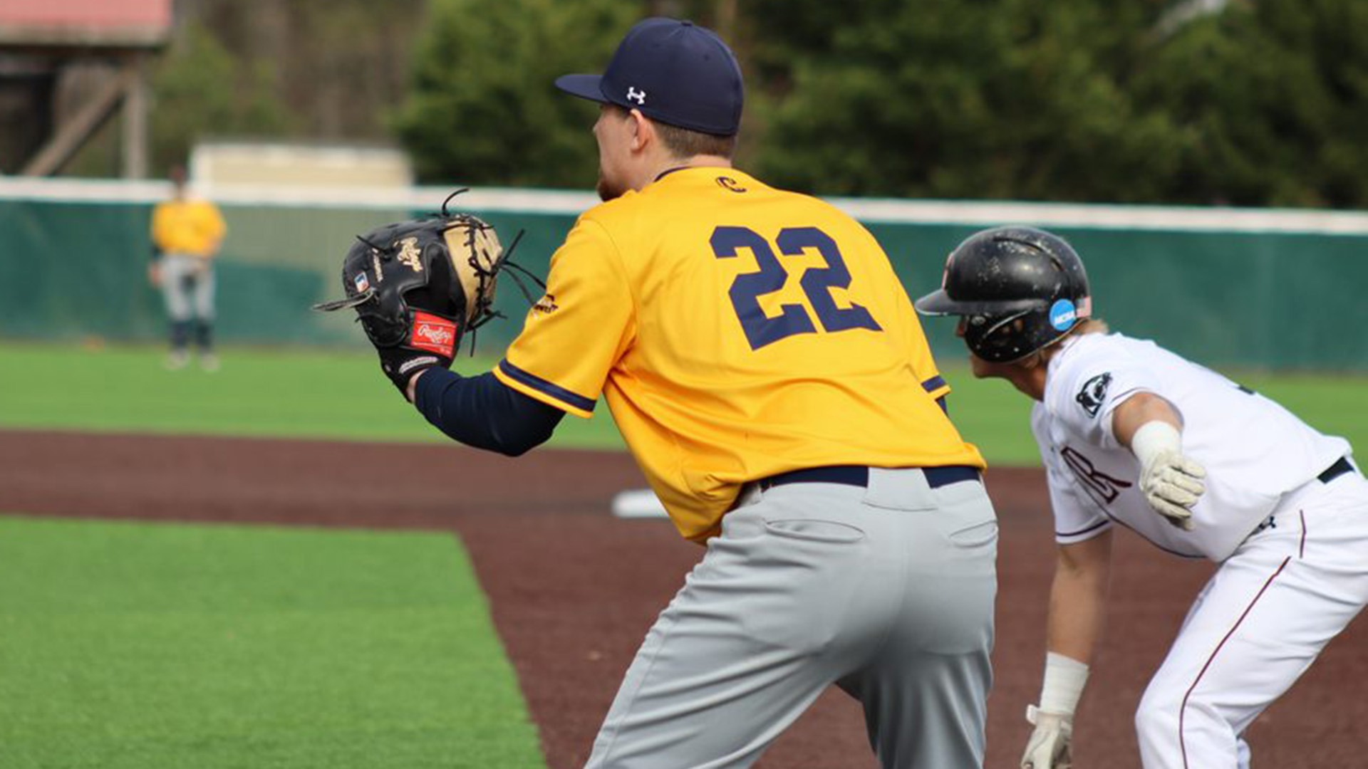 Blais Hale - Baseball - Cedarville University Athletics