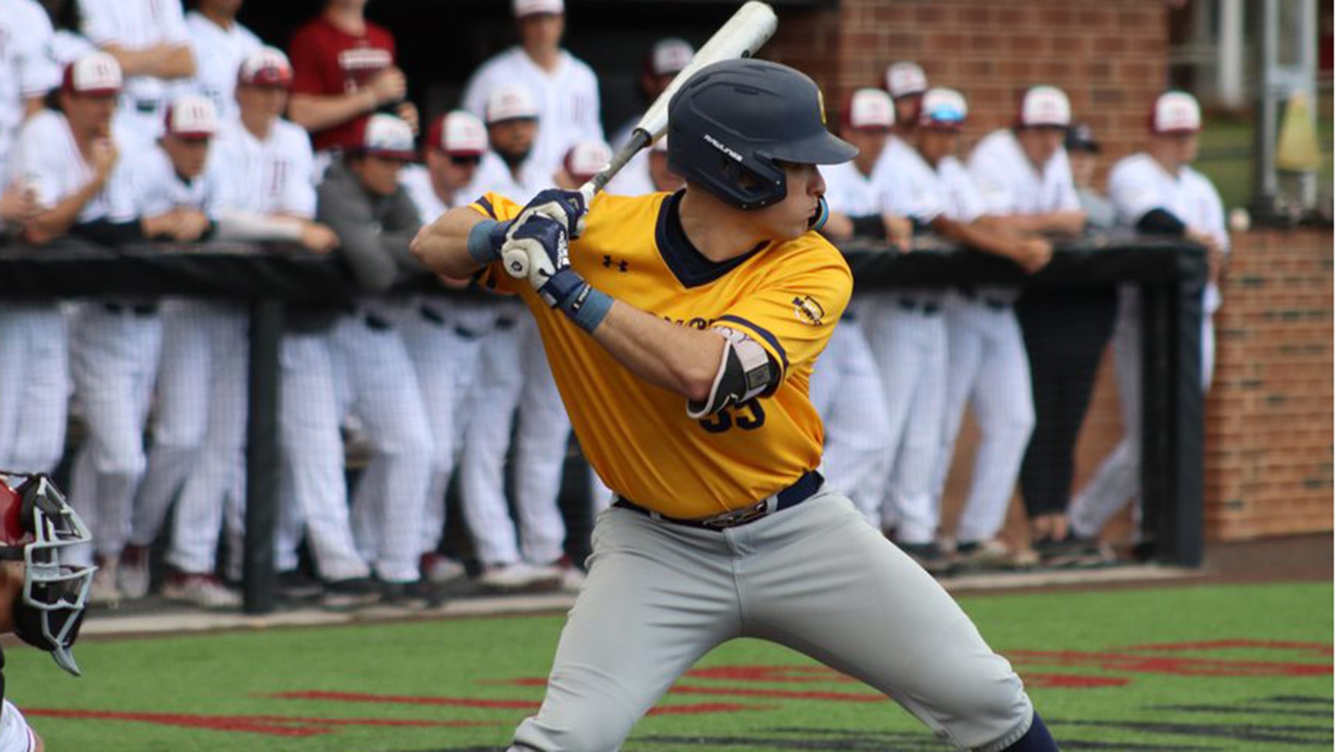 Alan Perry - Baseball - Cedarville University Athletics