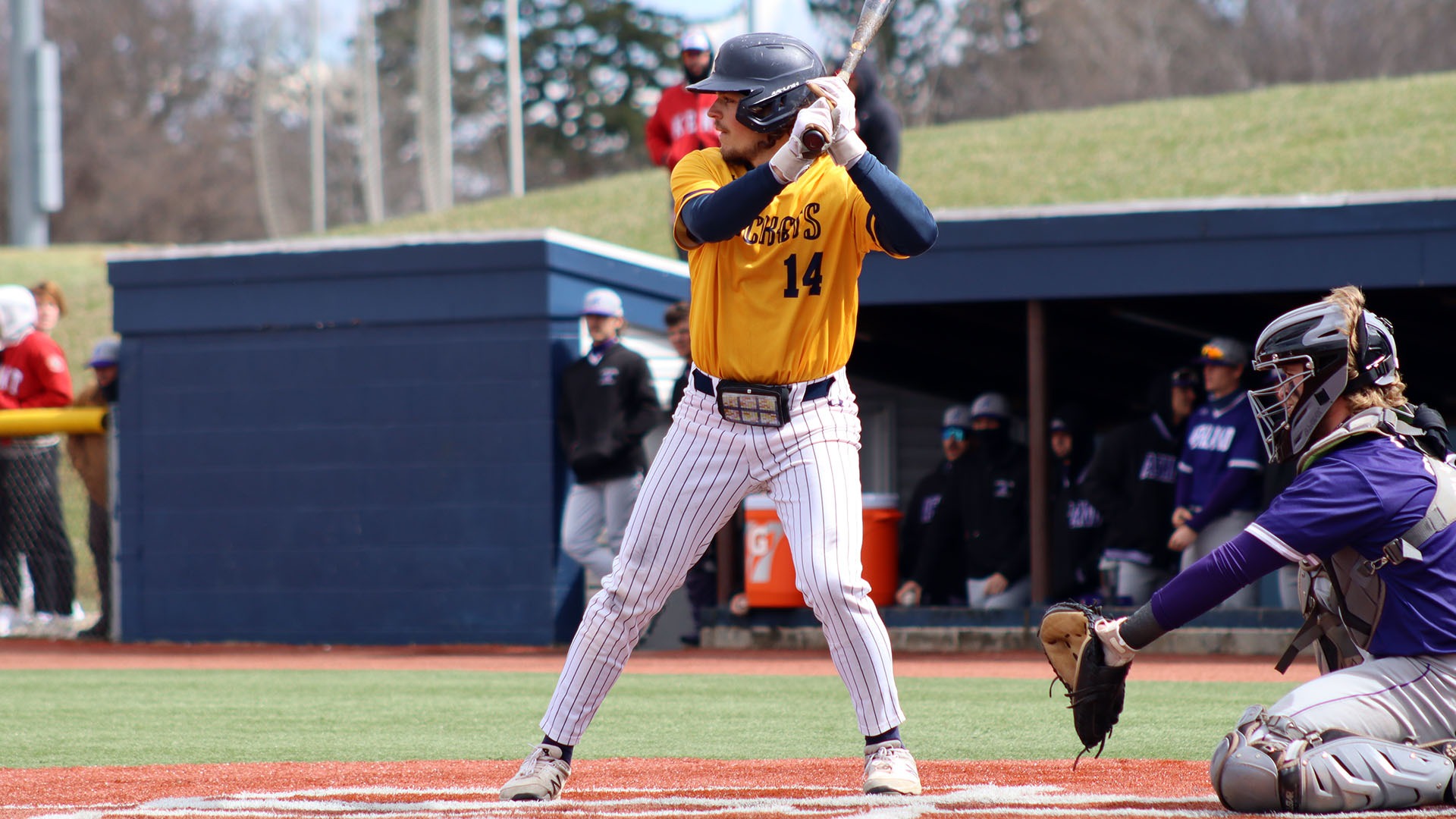 Lucas Rotello - Baseball - Cedarville University Athletics