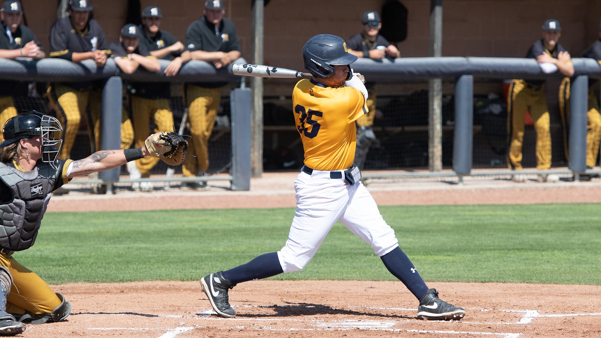 Alan Perry - Baseball - Cedarville University Athletics