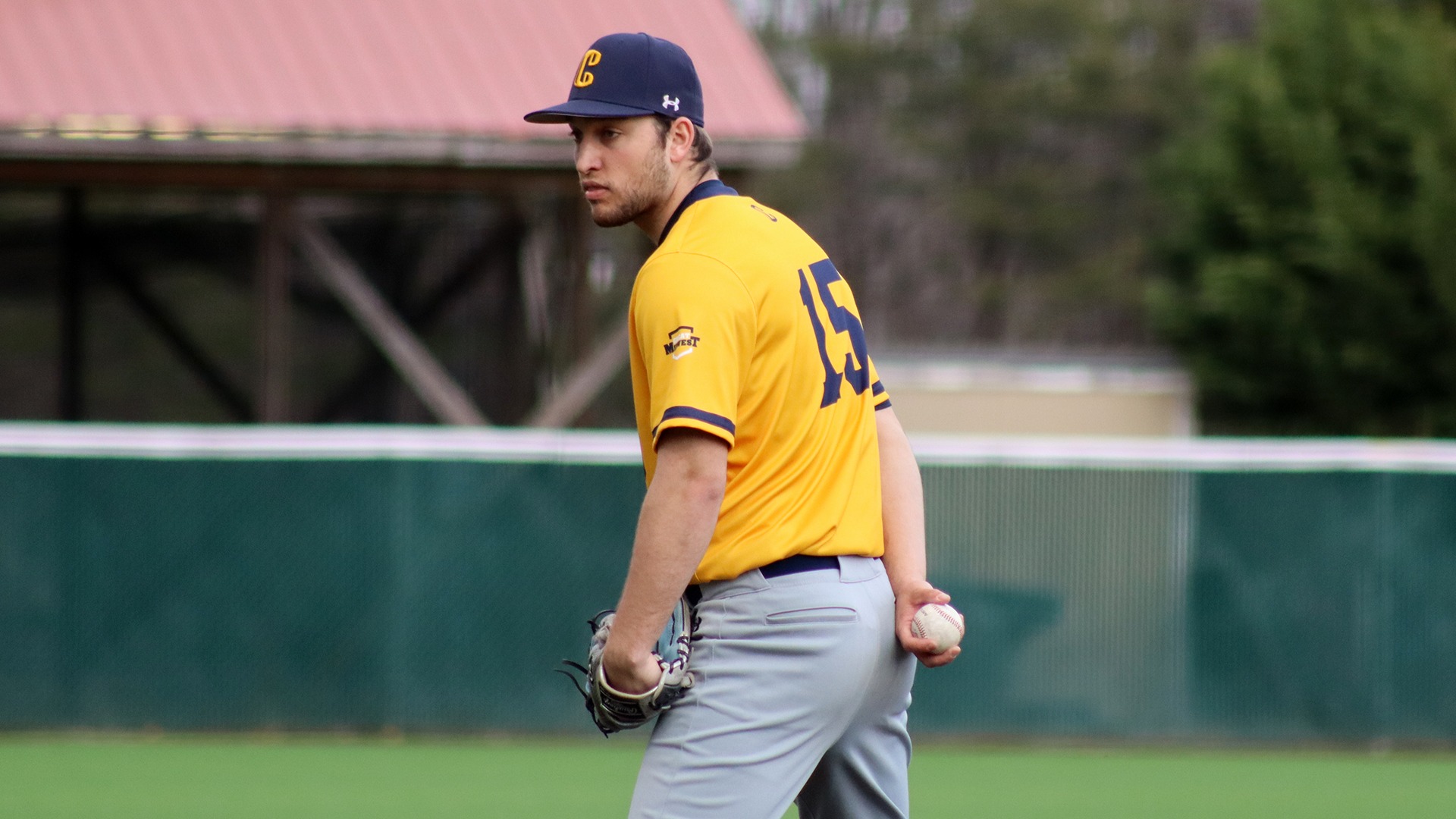 Wyatt Petek - Baseball - Cedarville University Athletics