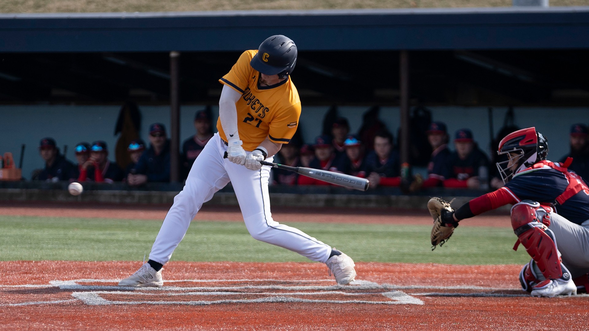 Alex Neff - Baseball - Cedarville University Athletics