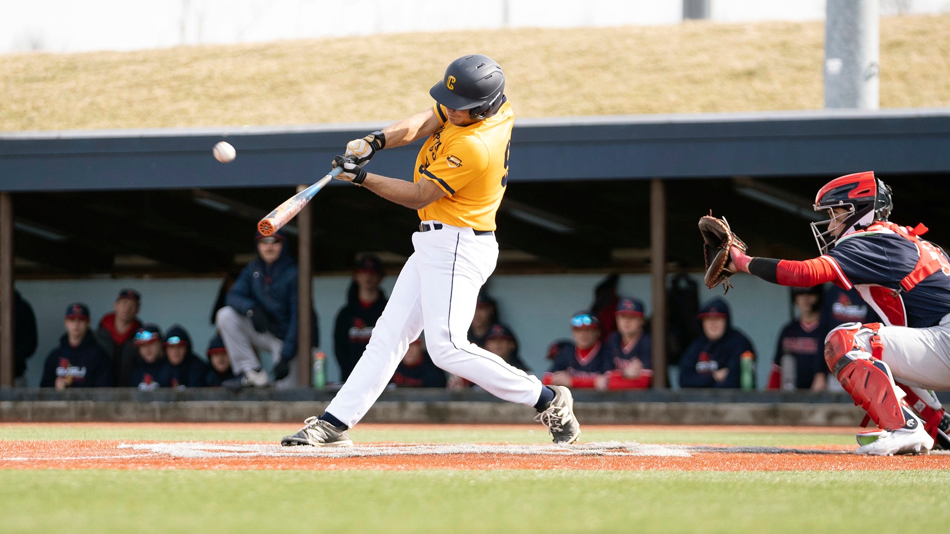 Boston Torres - Baseball - Cedarville University Athletics