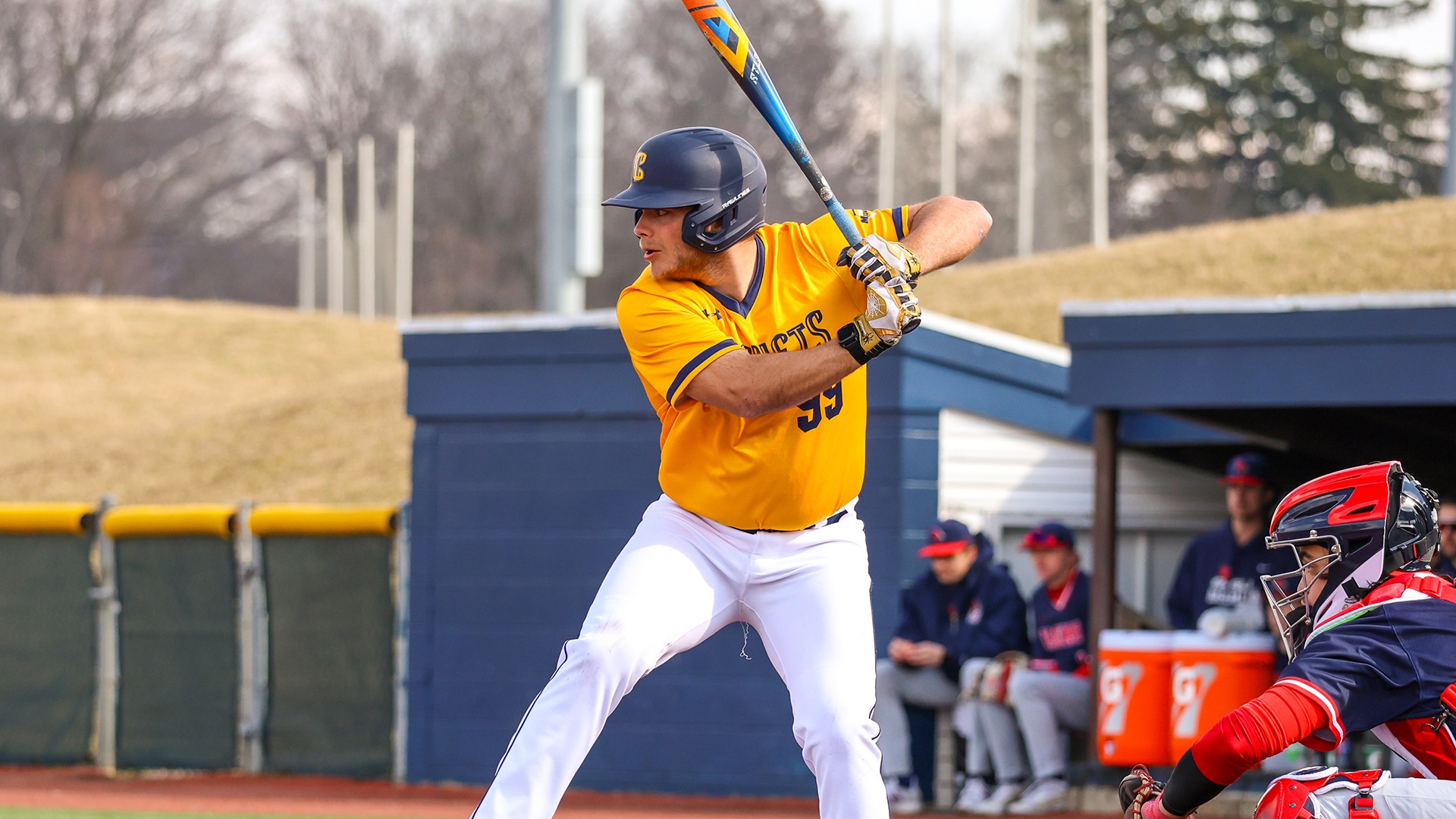 Boston Torres - Baseball - Cedarville University Athletics Boston Torres - Baseball - Cedarville University Athletics
