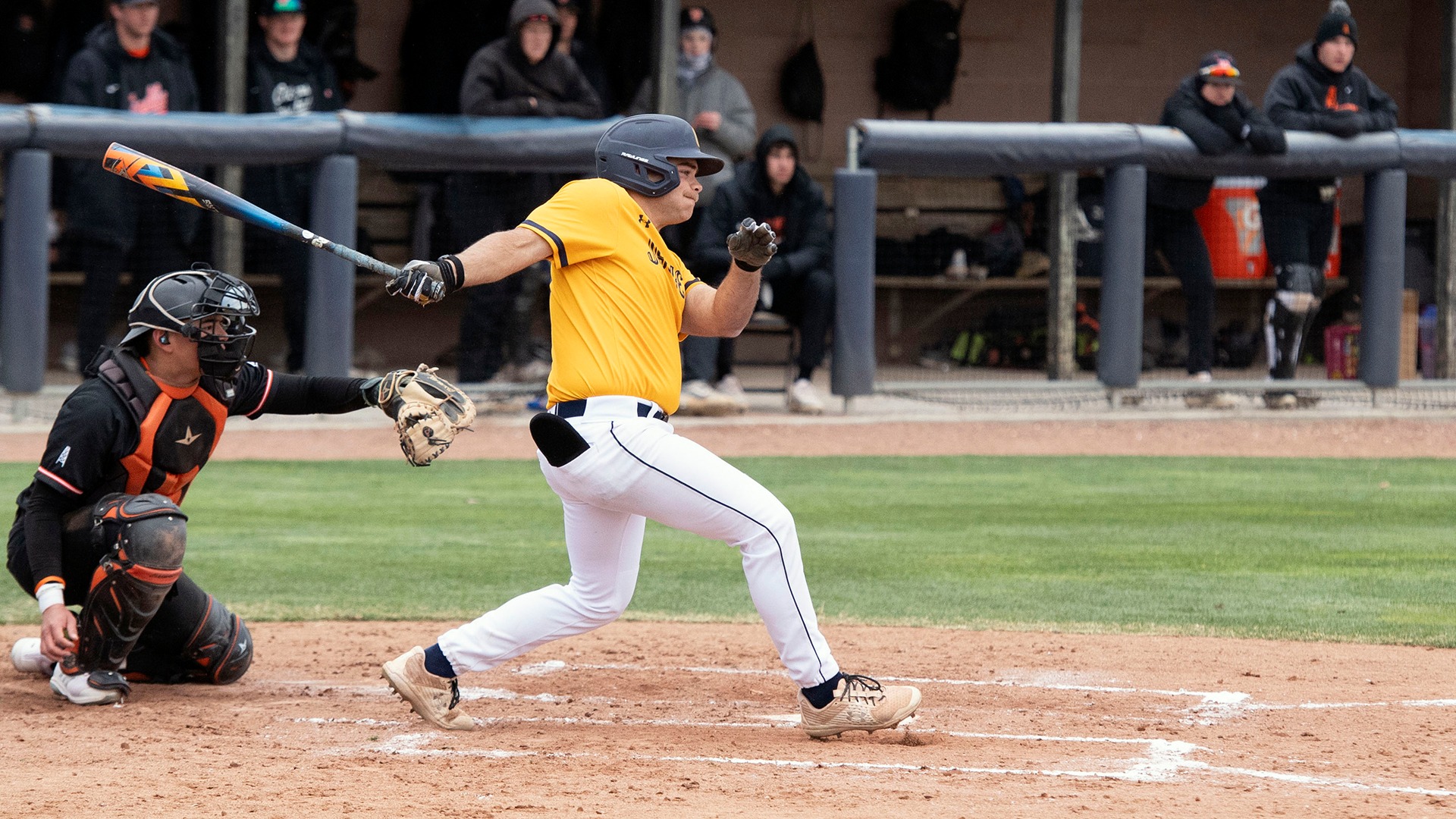 Boston Torres - Baseball - Cedarville University Athletics Boston Torres - Baseball - Cedarville University Athletics