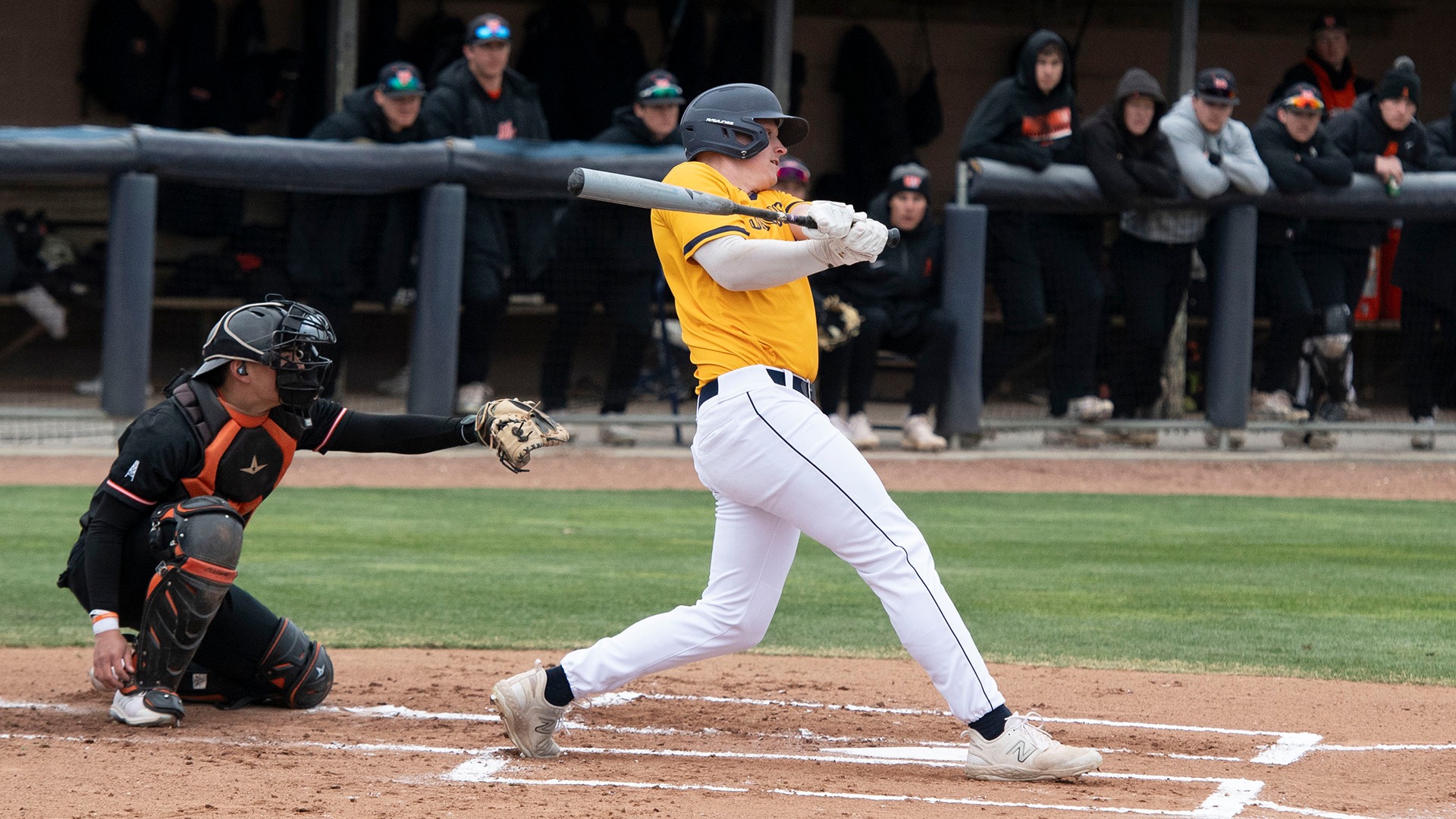 Alex Neff - Baseball - Cedarville University Athletics