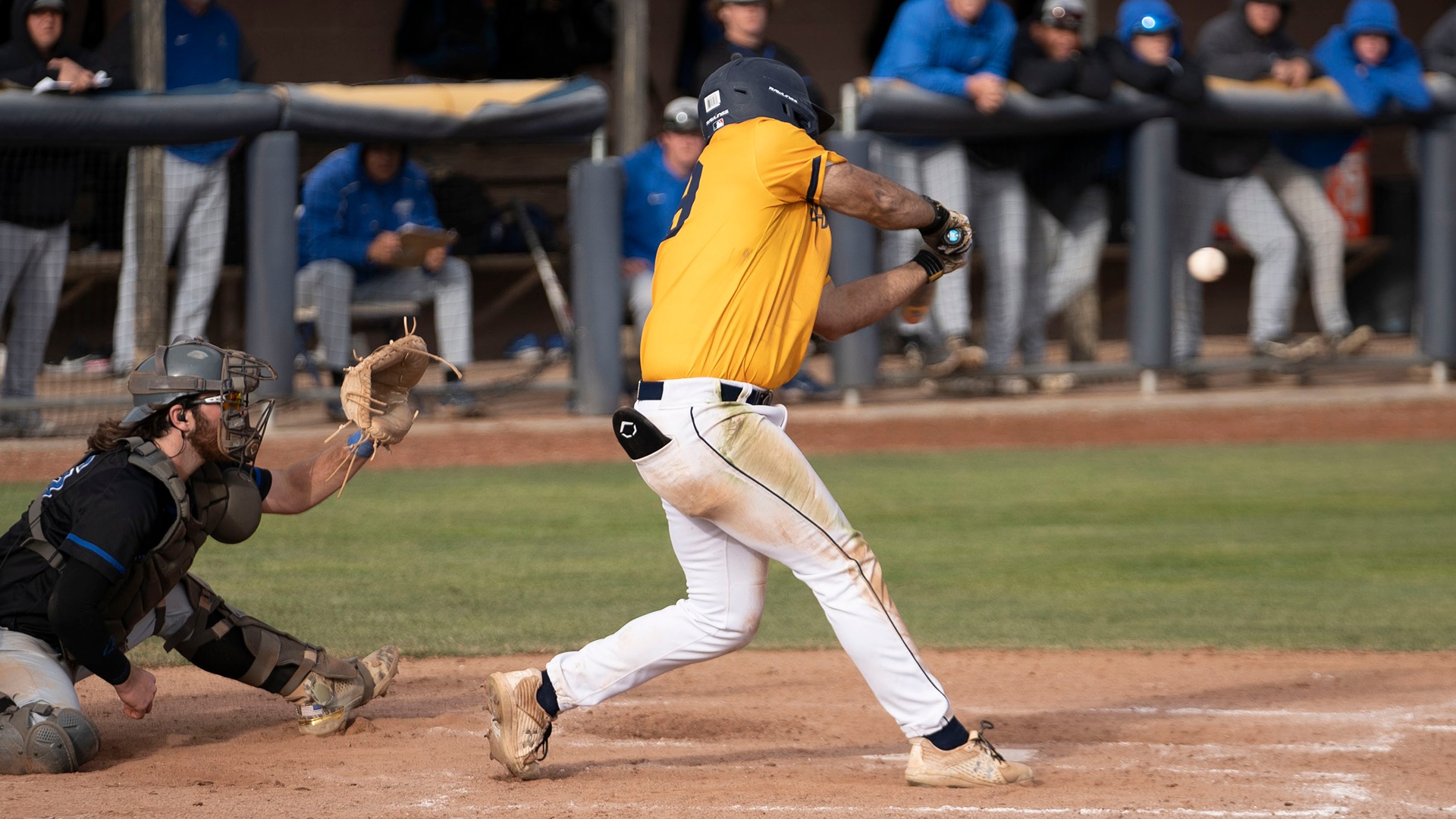 Boston Torres - Baseball - Cedarville University Athletics