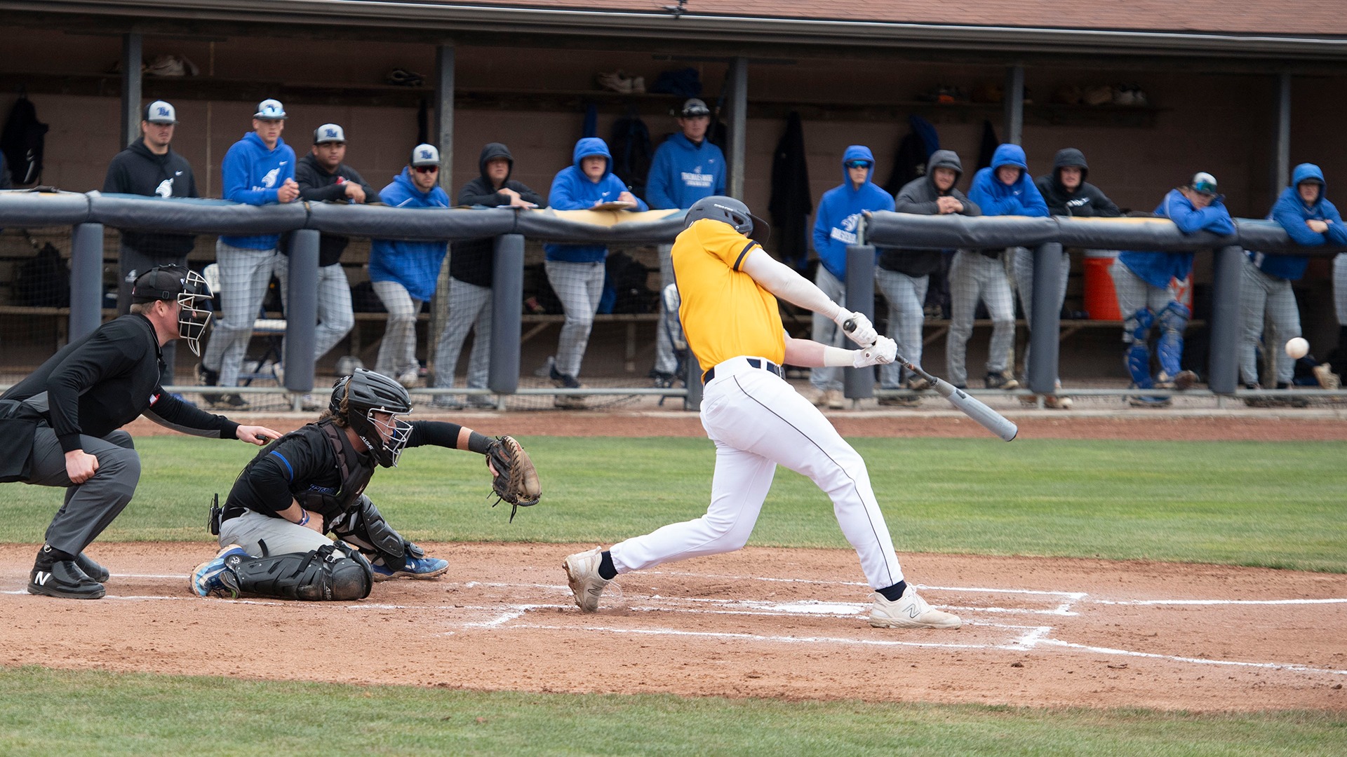 Alex Neff - Baseball - Cedarville University Athletics