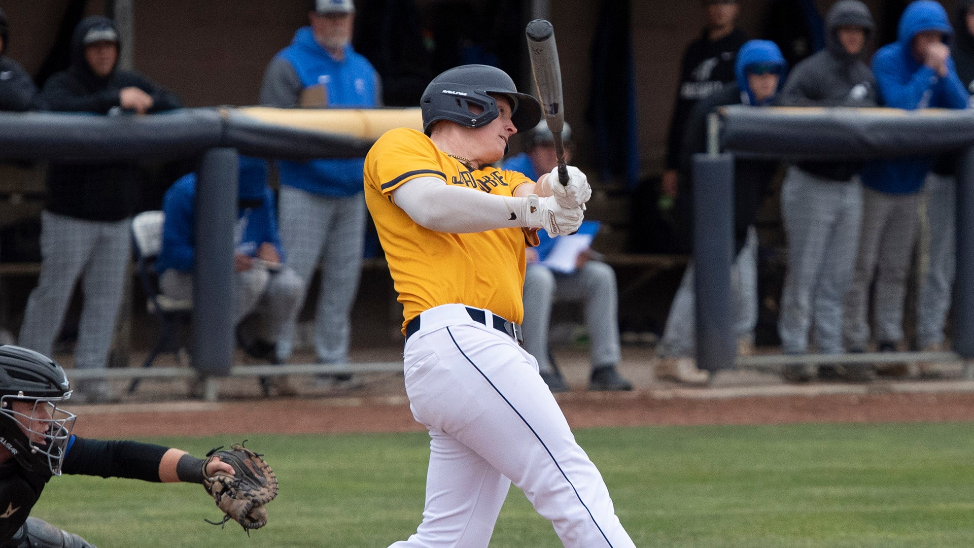 Alex Neff - Baseball - Cedarville University Athletics