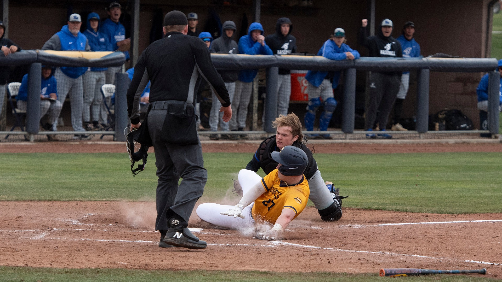 Alex Neff - Baseball - Cedarville University Athletics