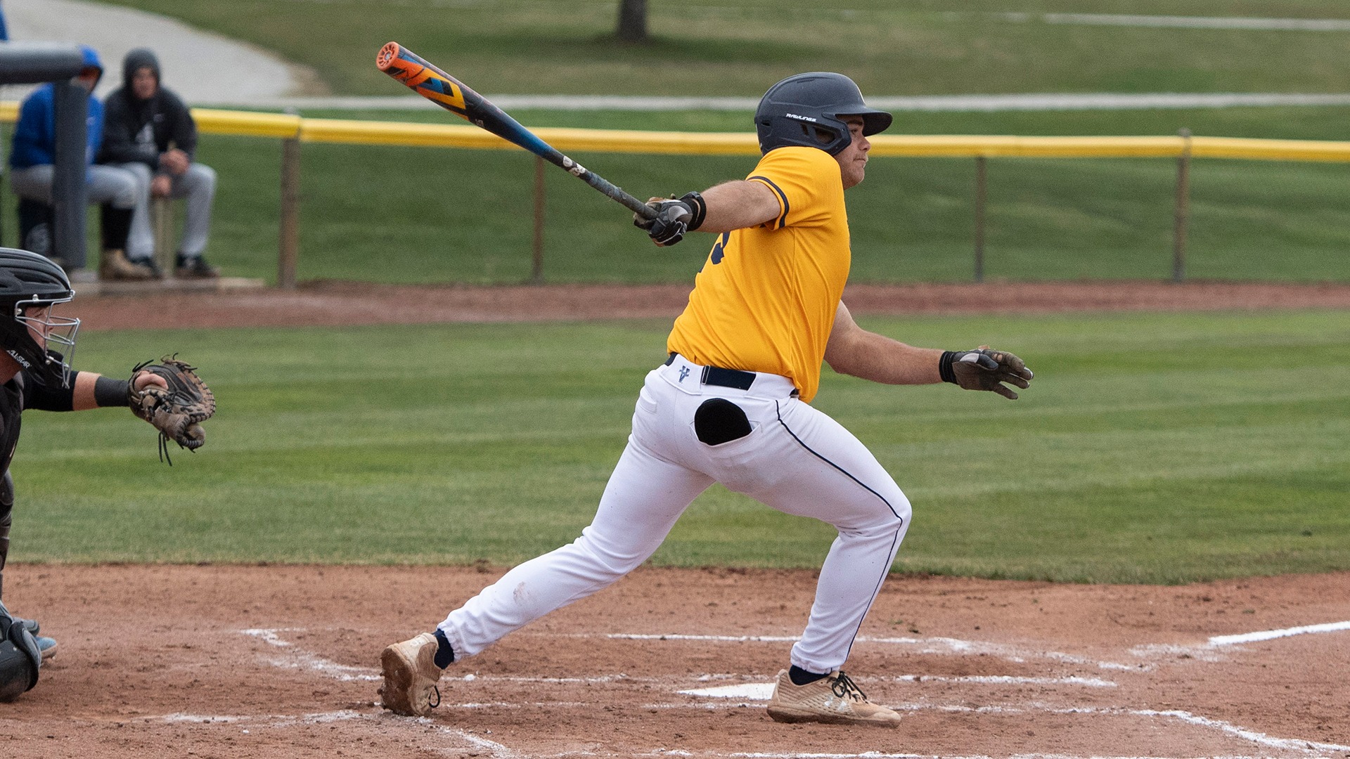 Boston Torres - Baseball - Cedarville University Athletics