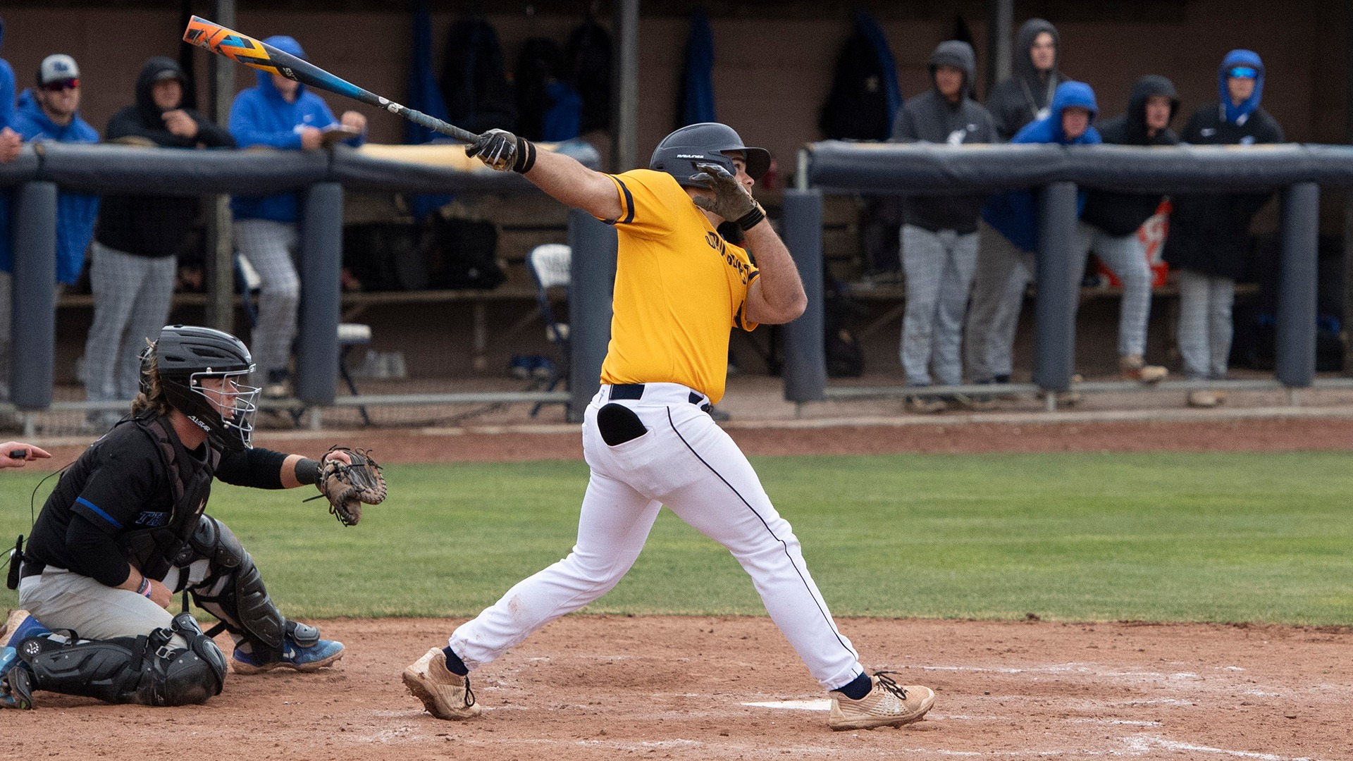 Boston Torres - Baseball - Cedarville University Athletics