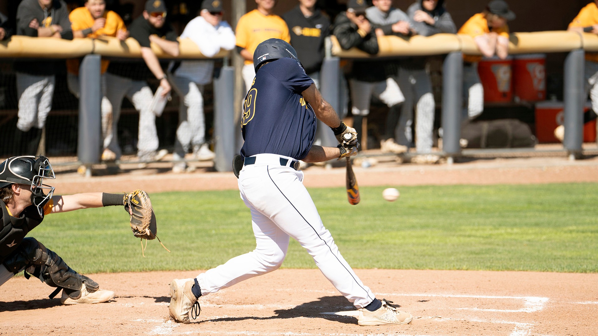 Boston Torres - Baseball - Cedarville University Athletics