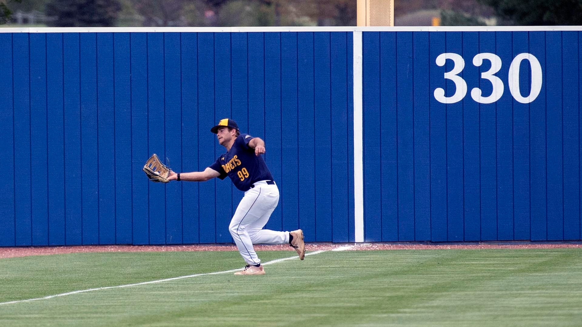 Boston Torres - Baseball - Cedarville University Athletics