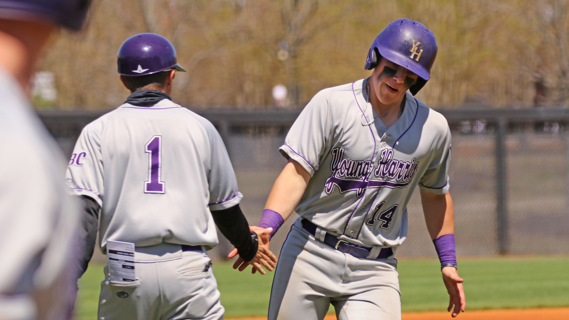 Dahlton Cash - Baseball - Young Harris College Athletics