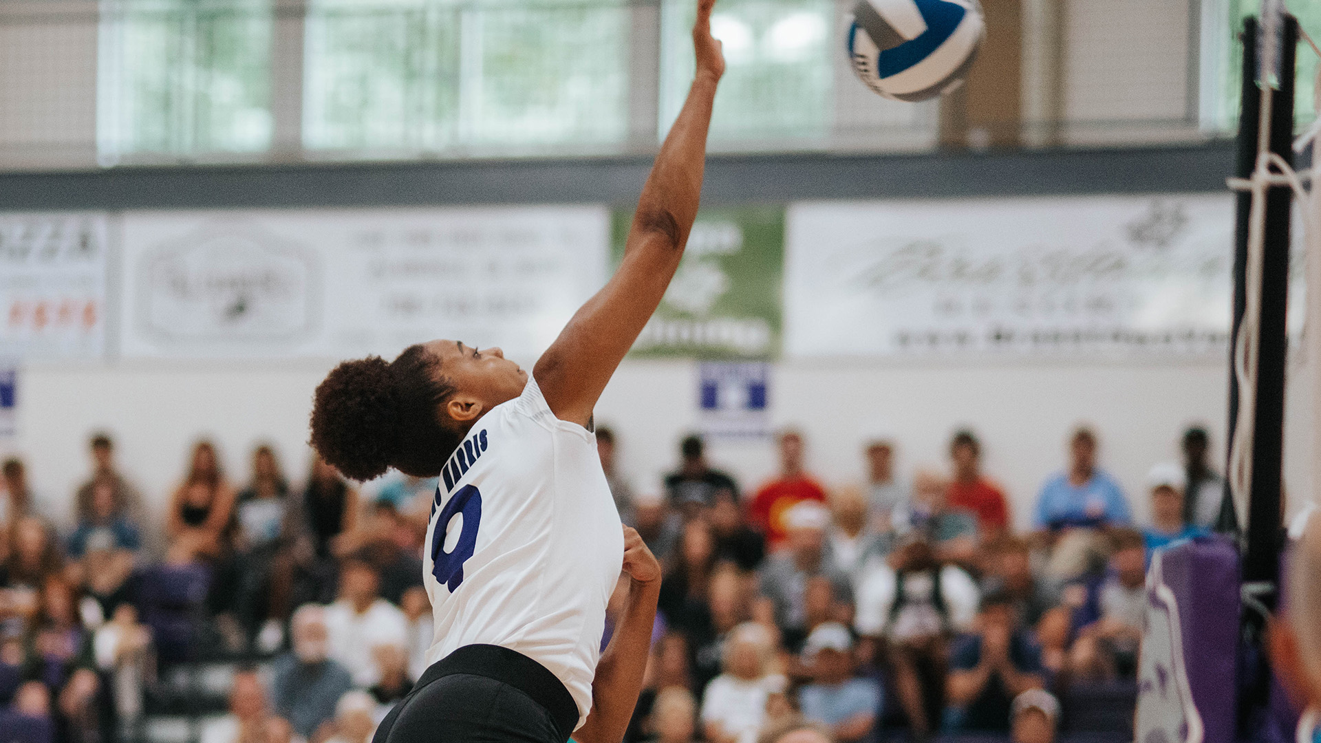 Alex Pierre - Volleyball - Young Harris College Athletics