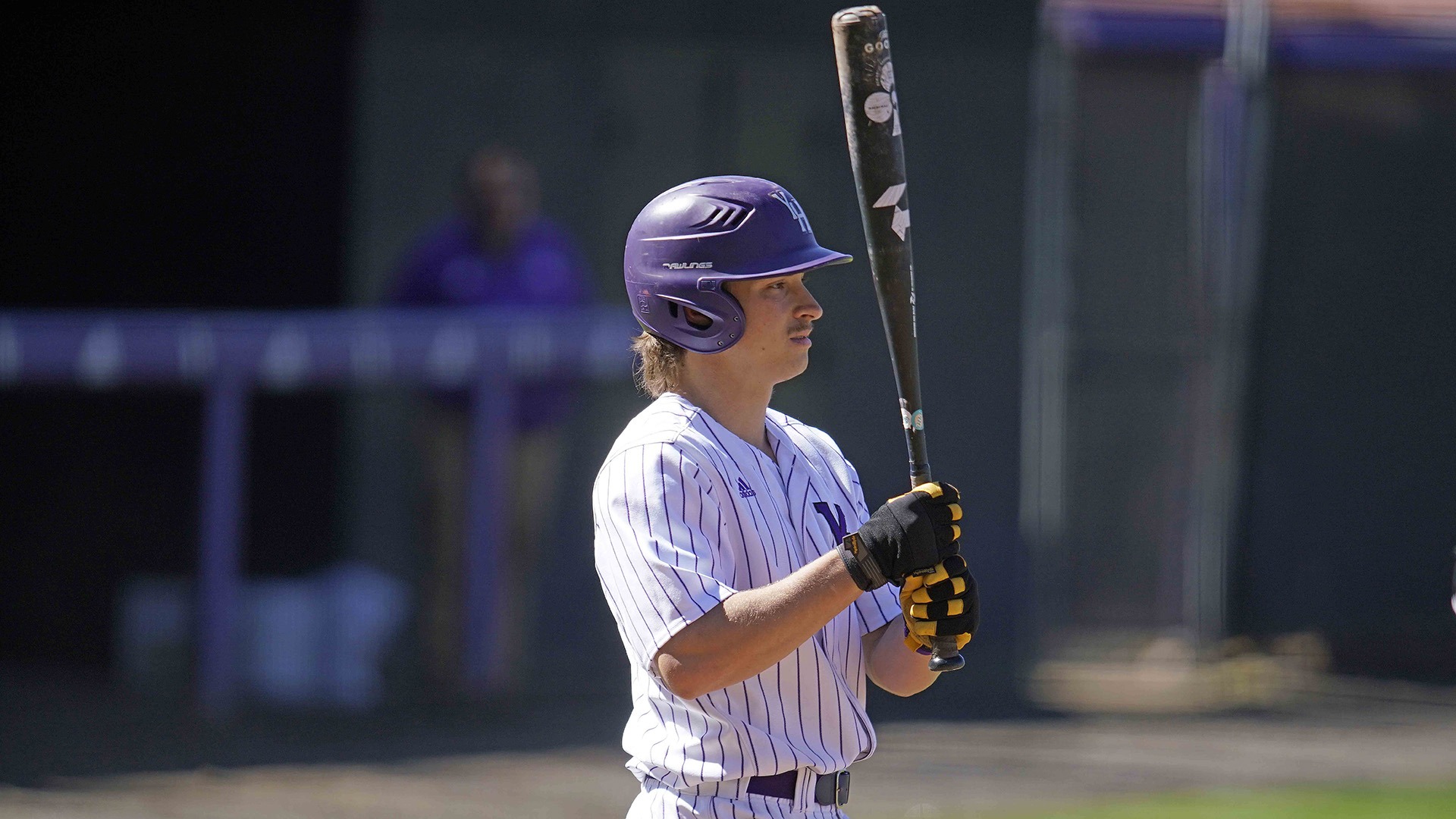 James Basham - Baseball - Young Harris College Athletics
