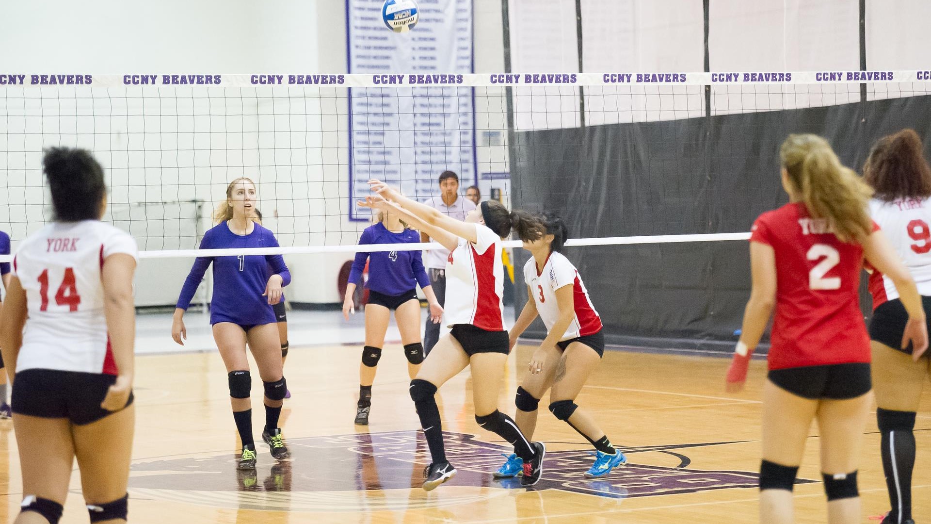 Chayana Jimenez - Women's Volleyball - York College Athletics