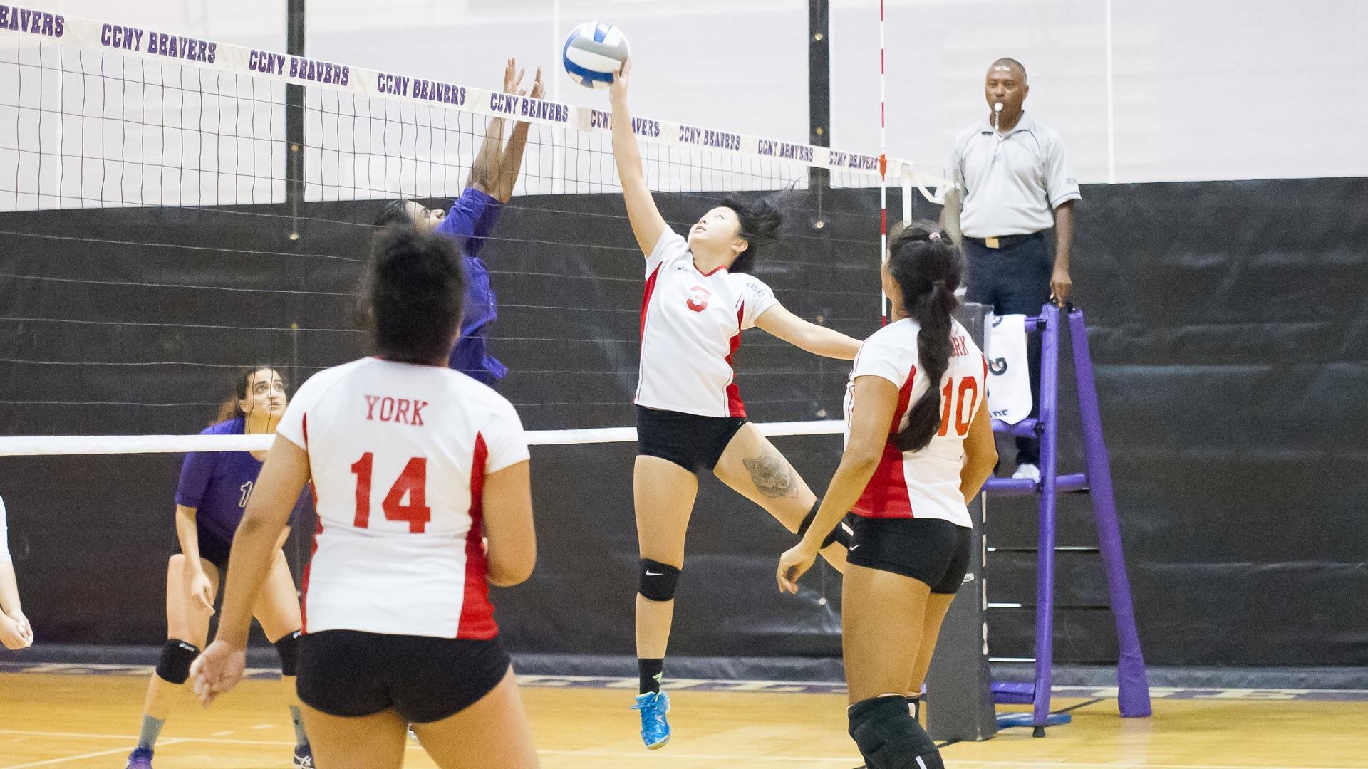 Allison Li - Women's Volleyball - York College Athletics