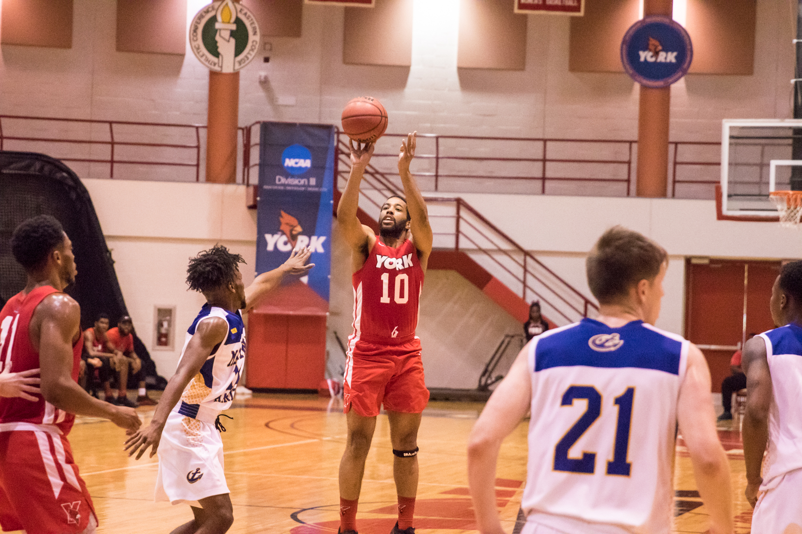 Darin Dove - Men's Basketball - York College Athletics