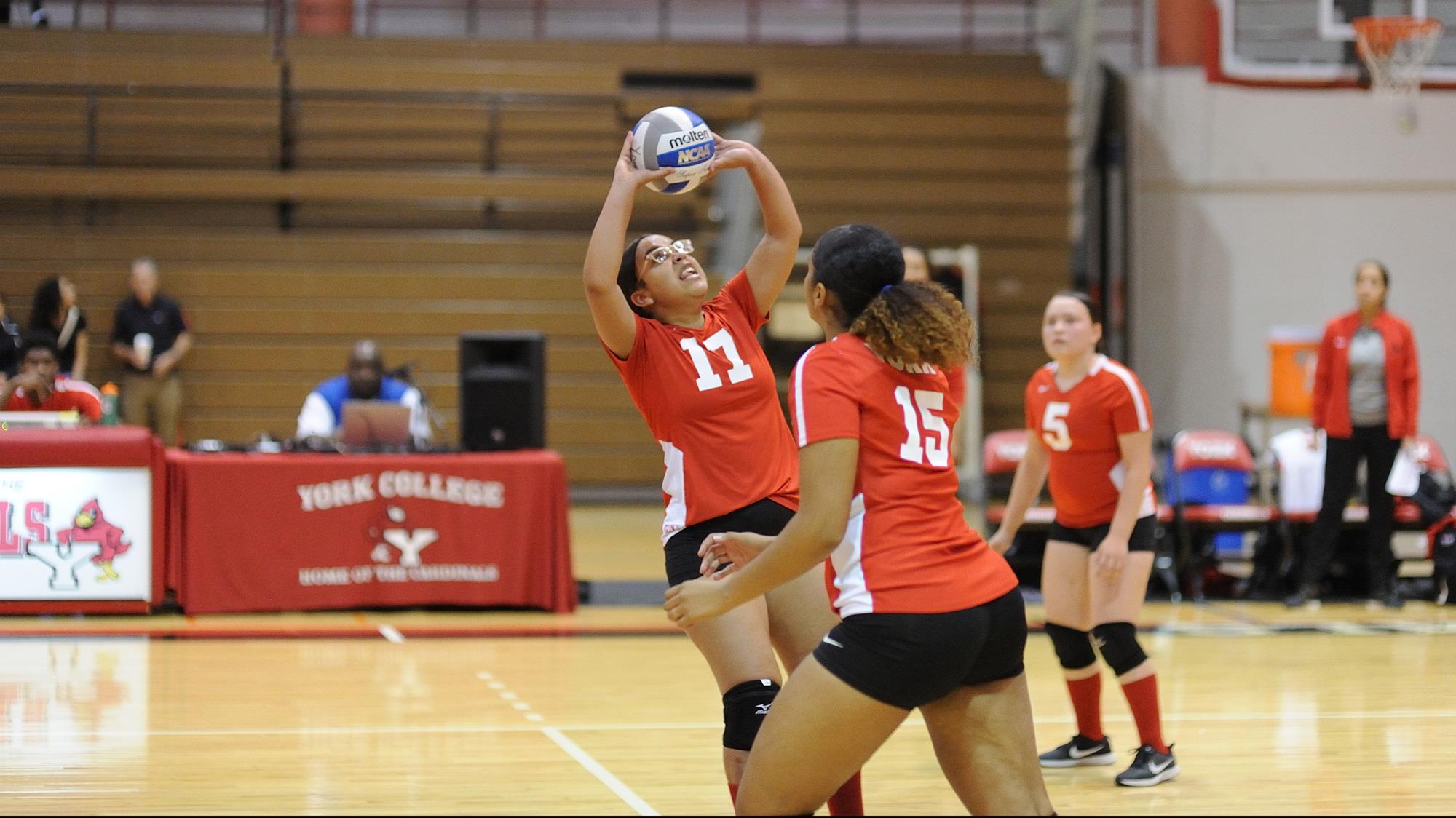 Alexandra Taveras - Women's Volleyball - York College Athletics