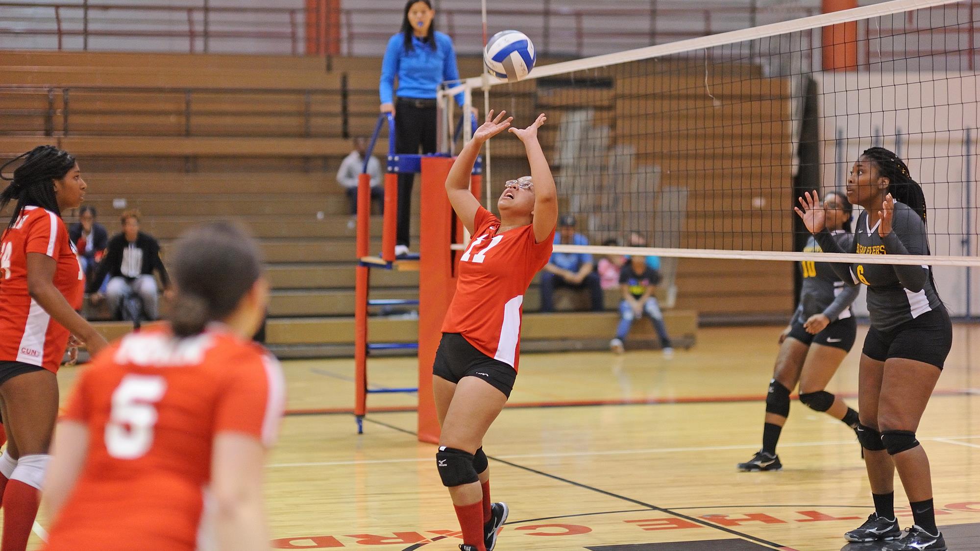 Alexandra Taveras - Women's Volleyball - York College Athletics