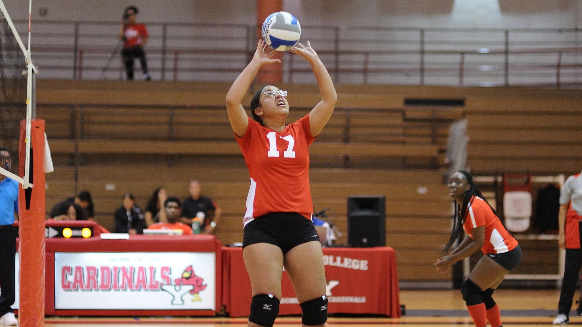 Alexandra Taveras - Women's Volleyball - York College Athletics