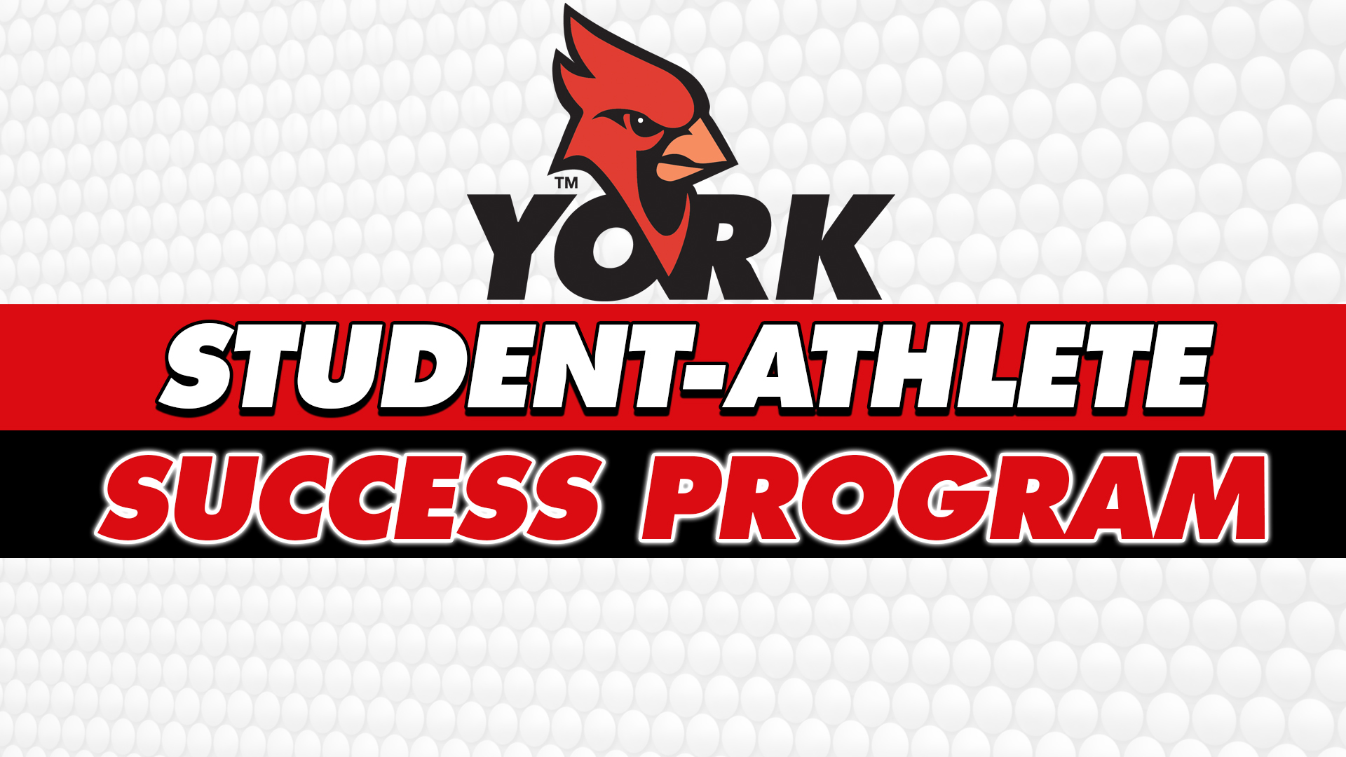 launch Student-Athlete Success Program (SASP) - York College Athletics