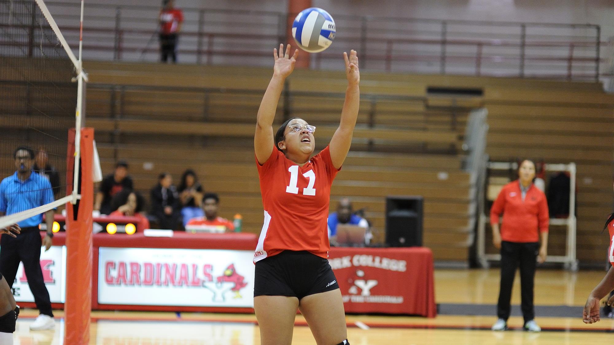 Alexandra Taveras - Women's Volleyball - York College Athletics