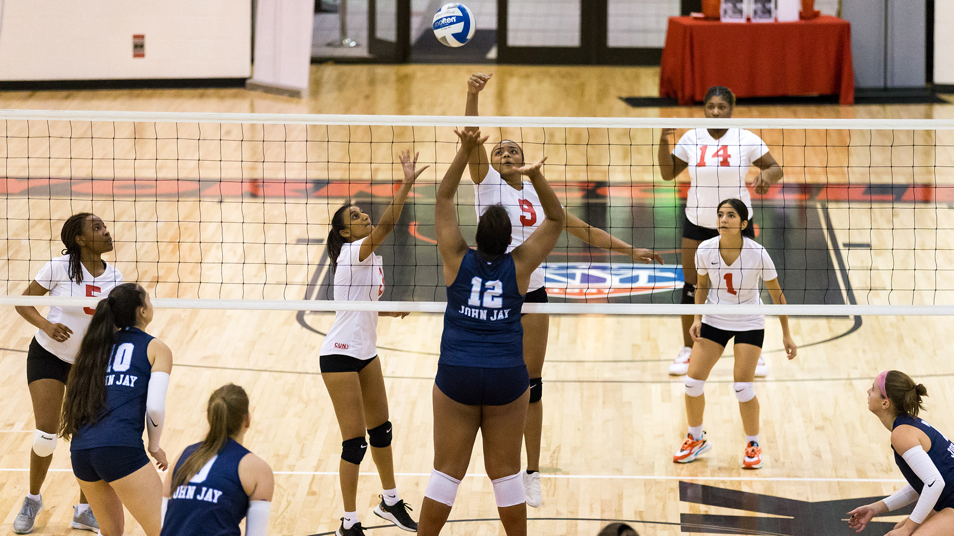 Andrea Wright - Women's Volleyball - York College Athletics
