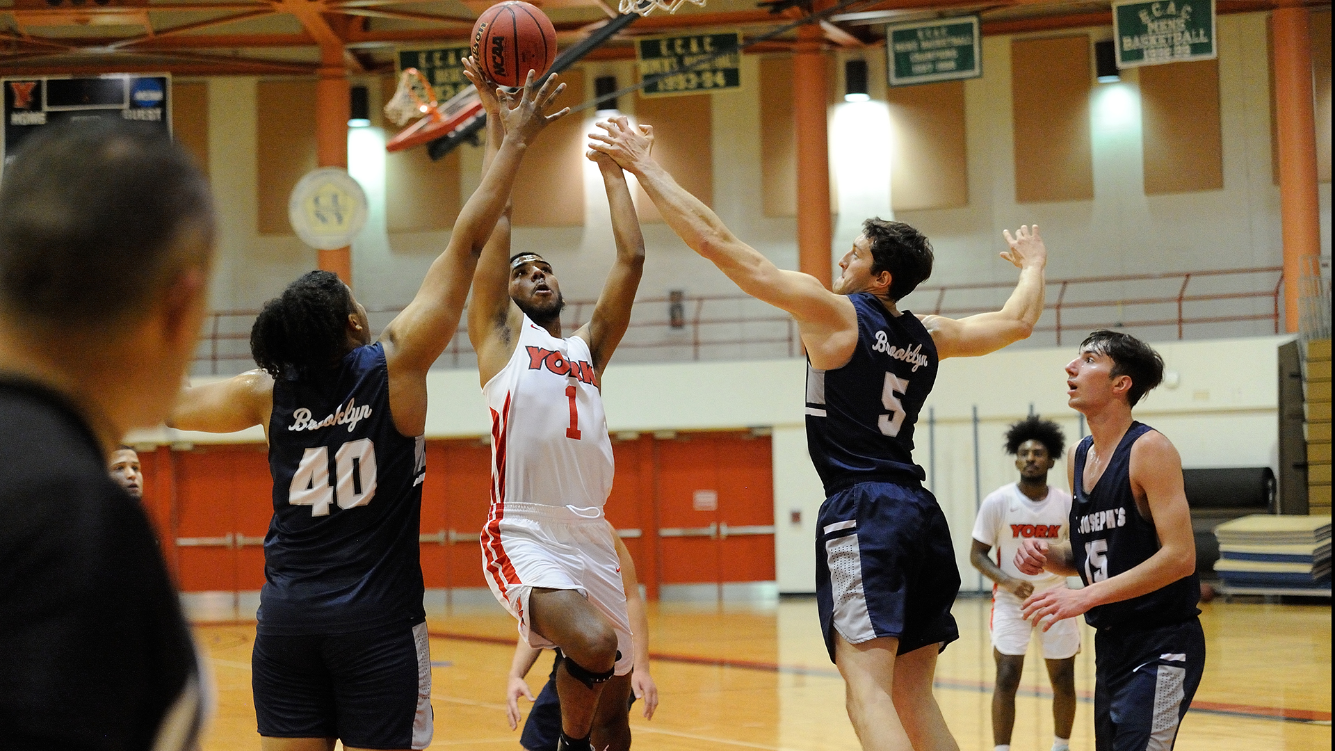 Guillermo Hernandez - Men's Basketball - York College Athletics