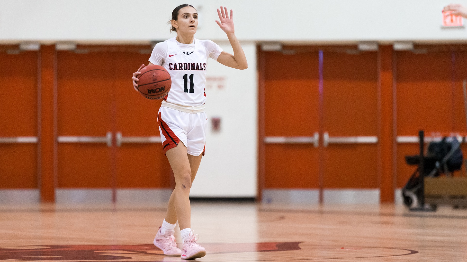 Ellma Hodzic - Women's Basketball - York College Athletics