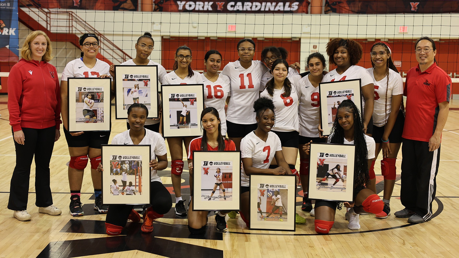 Mario Tang promoted to Head Women’s Volleyball Coach - York College ...