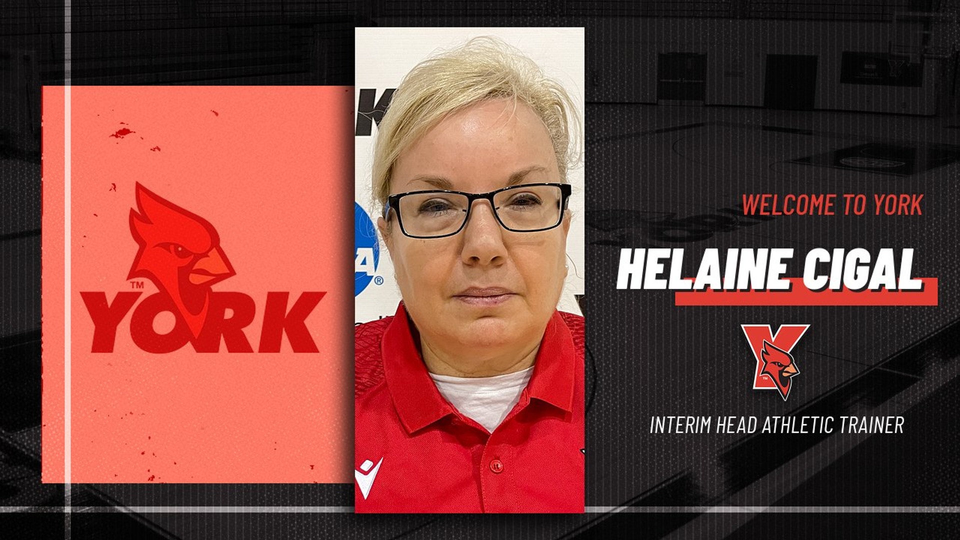 Cigal named Interim Head Athletic Trainer - York College Athletics
