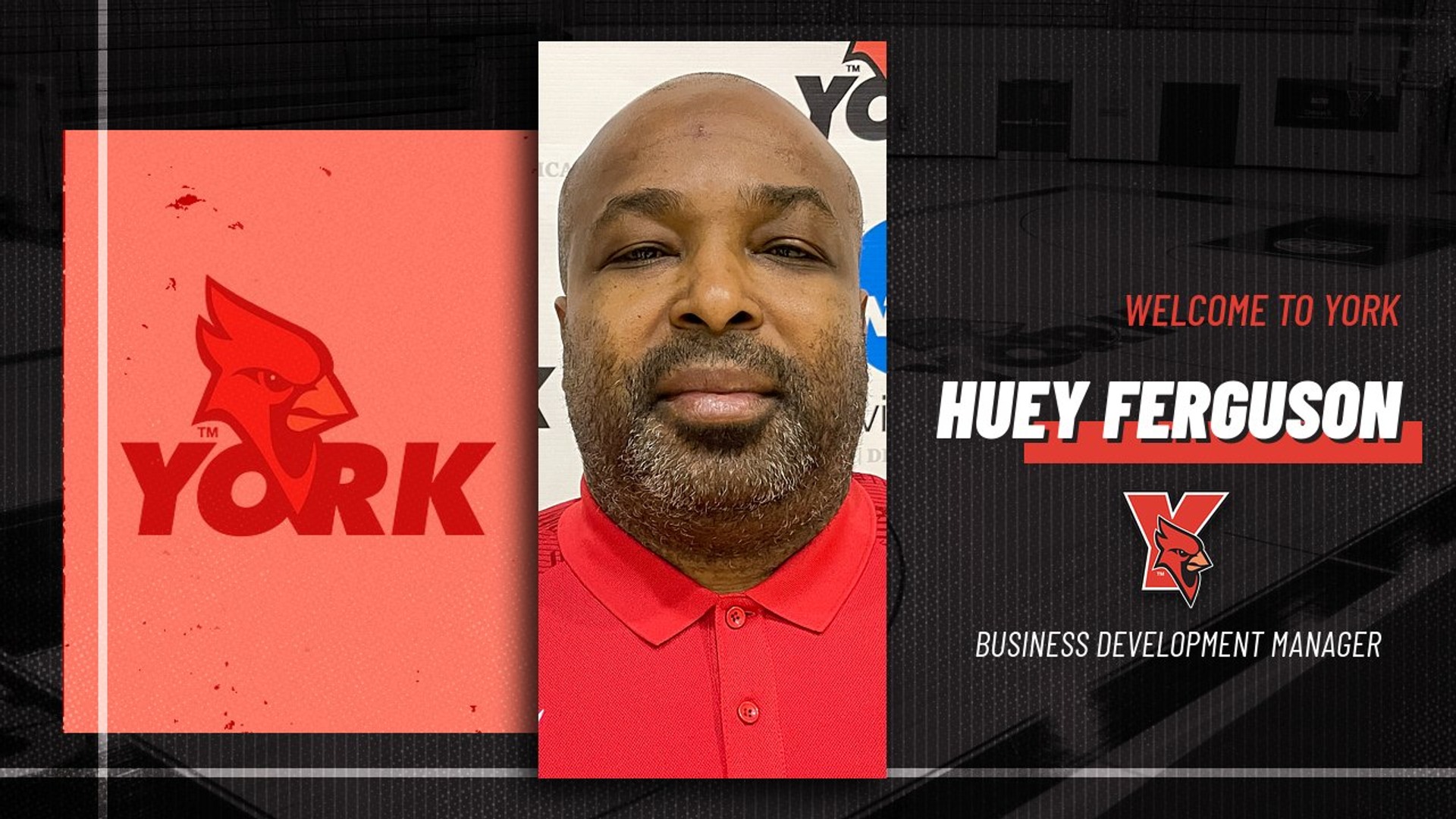 Ferguson named Business Development Manager - York College Athletics