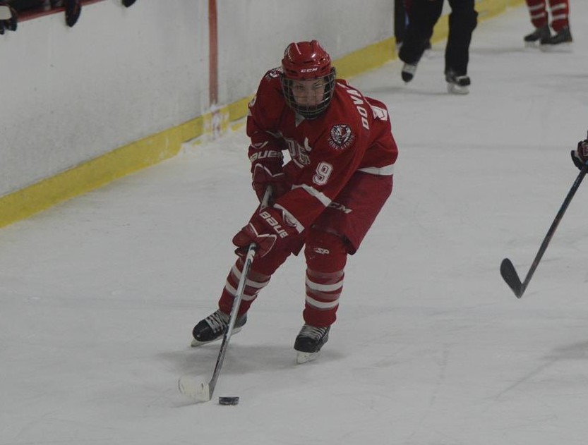 Stephanie Dovaston - Women's Hockey - York University Athletics