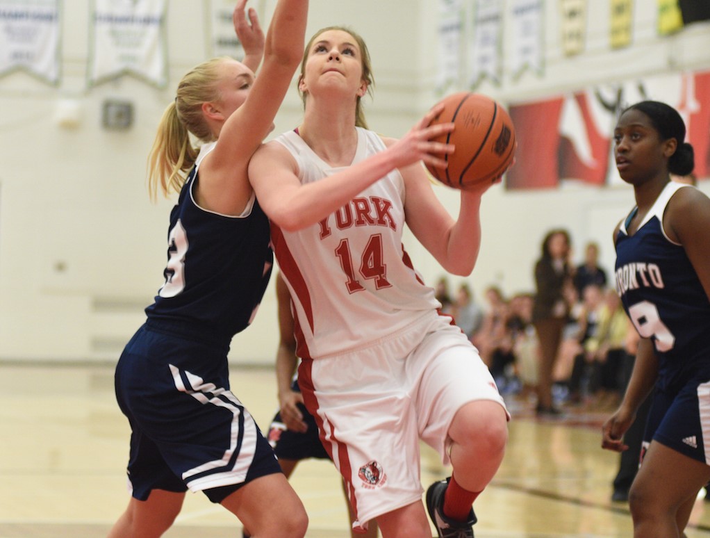 Megan MacLeod - Women's Basketball - York University Athletics