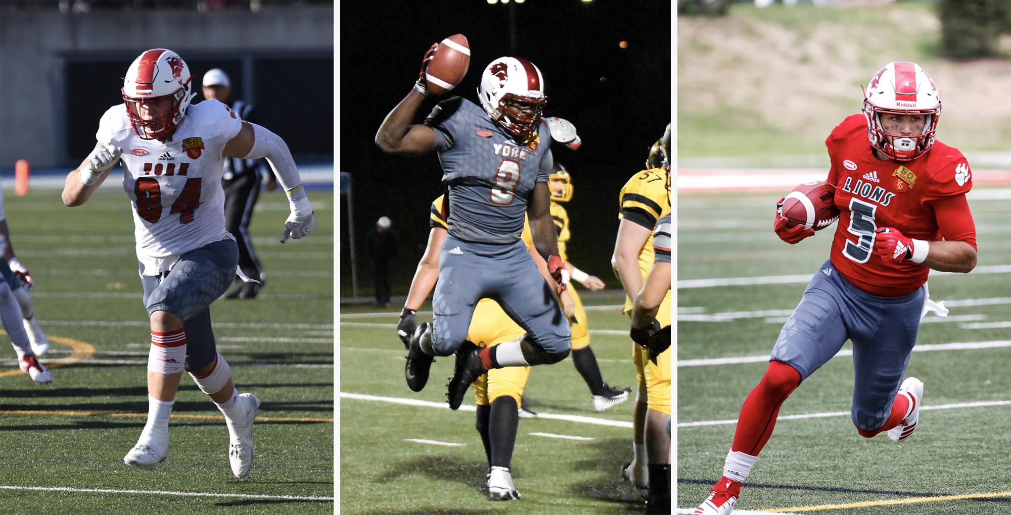 TRIO OF VETS NAMED OUA ALL-STARS - York University Athletics