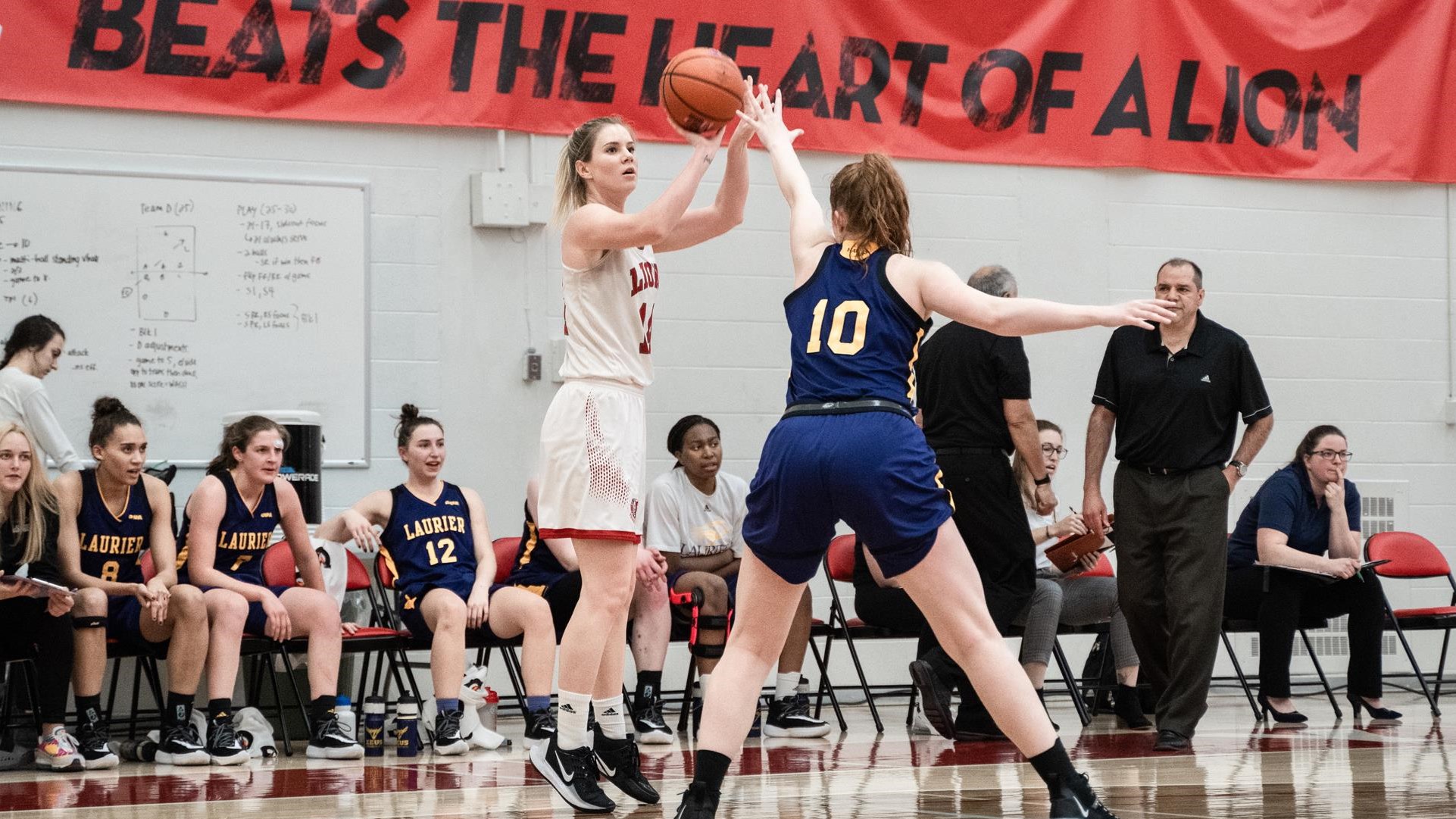Megan MacLeod - Women's Basketball - York University Athletics
