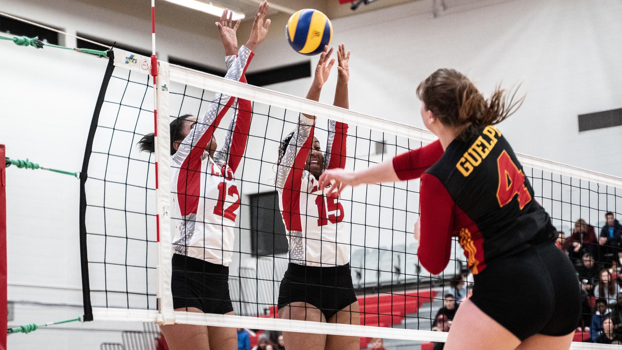 LIONS LOSE IN FIFTH SET TO GRYPHONS - York University Athletics