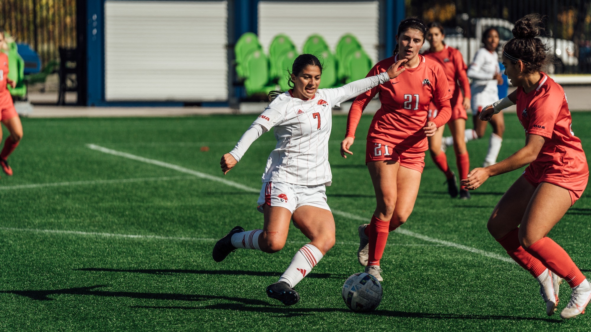 U SPORTS CHAMPIONSHIP PREVIEW: LIONS' VETERANS RETURN TO NATIONAL STAGE ...