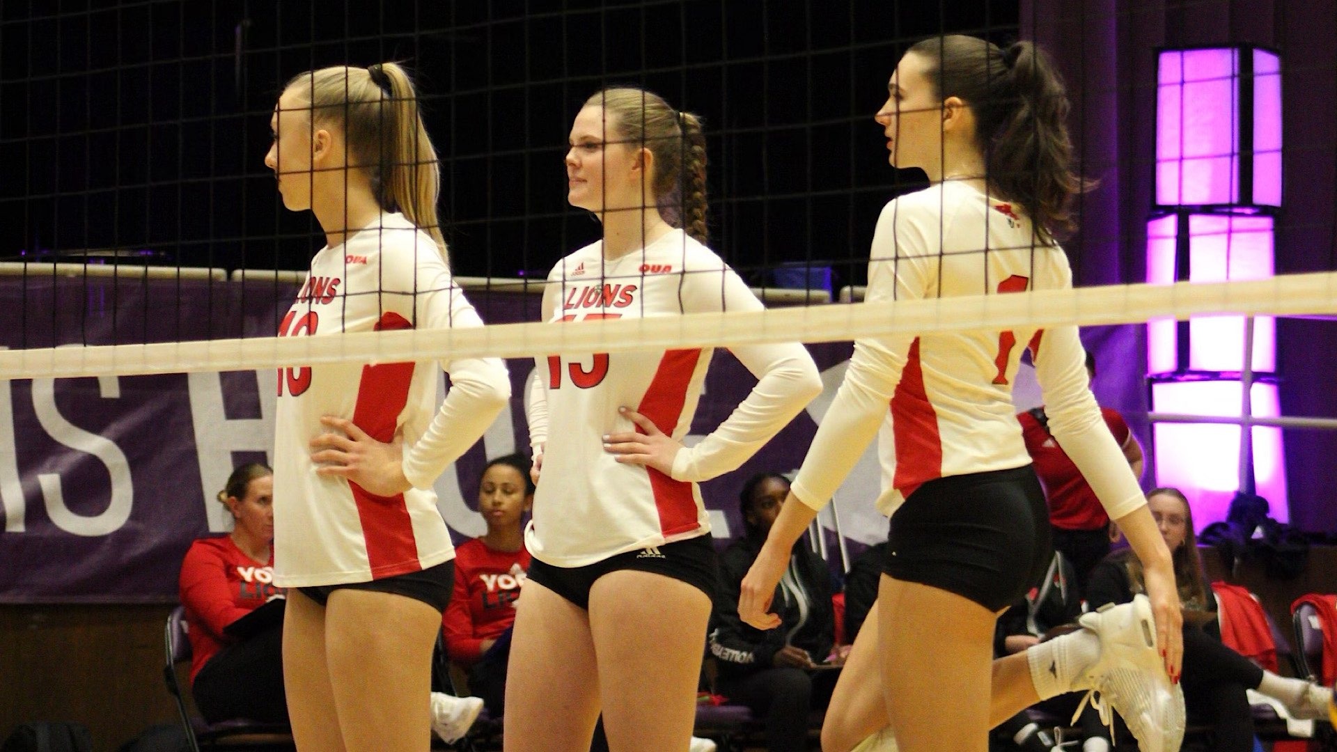 LIONS HANG WITH WESTERN, CAN'T BREAK THROUGH IN THREE-SET LOSS TO ...