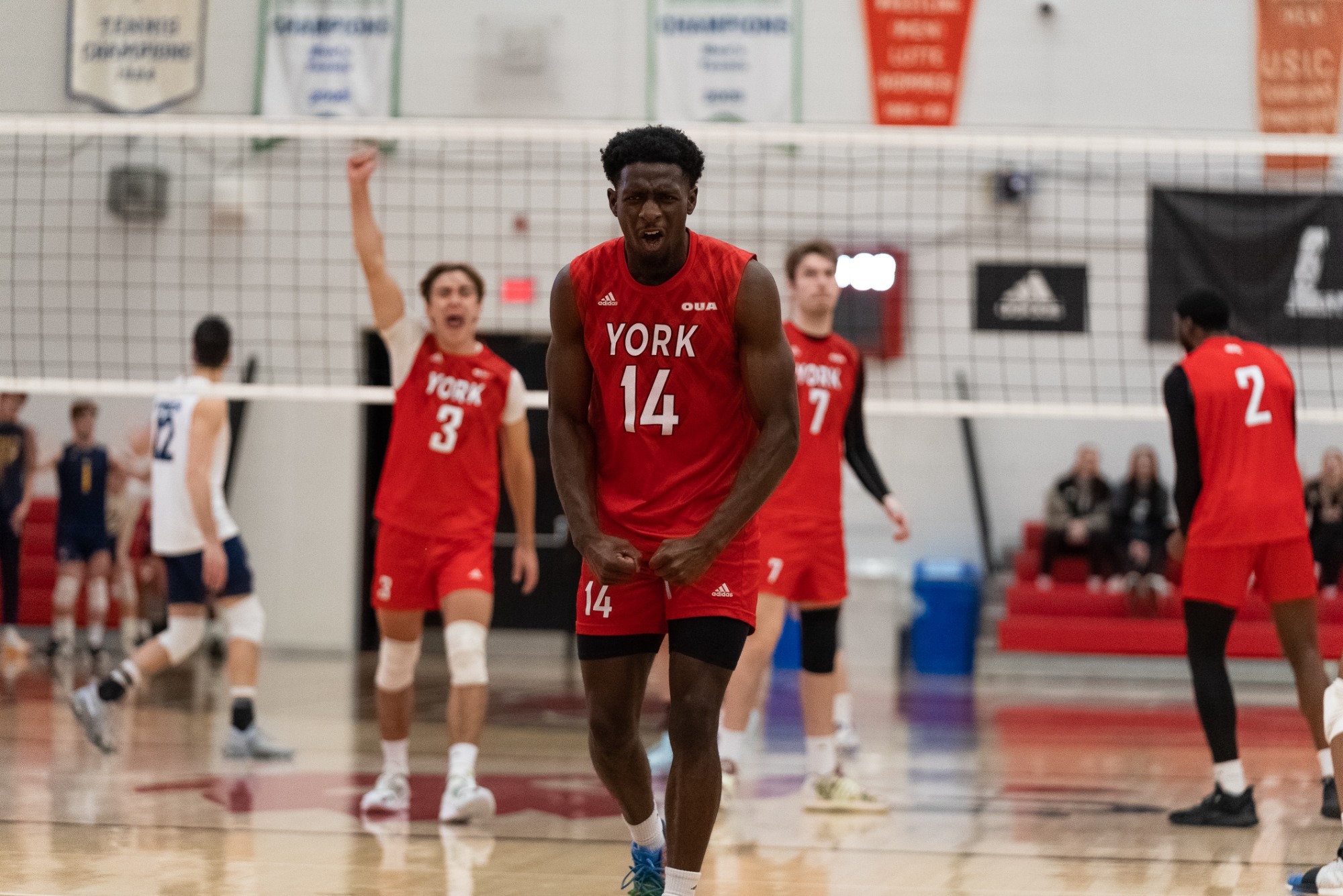 LIONS NEARLY COMPLETE EPIC COMEBACK, FALL IN FIVE-SET THRILLER TO ...