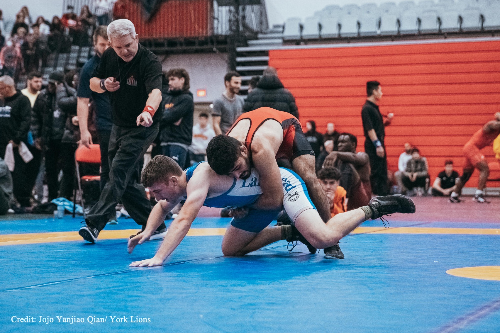 MAHIR TAKES 61KG GOLD AT WESTERN OPEN - York University Athletics