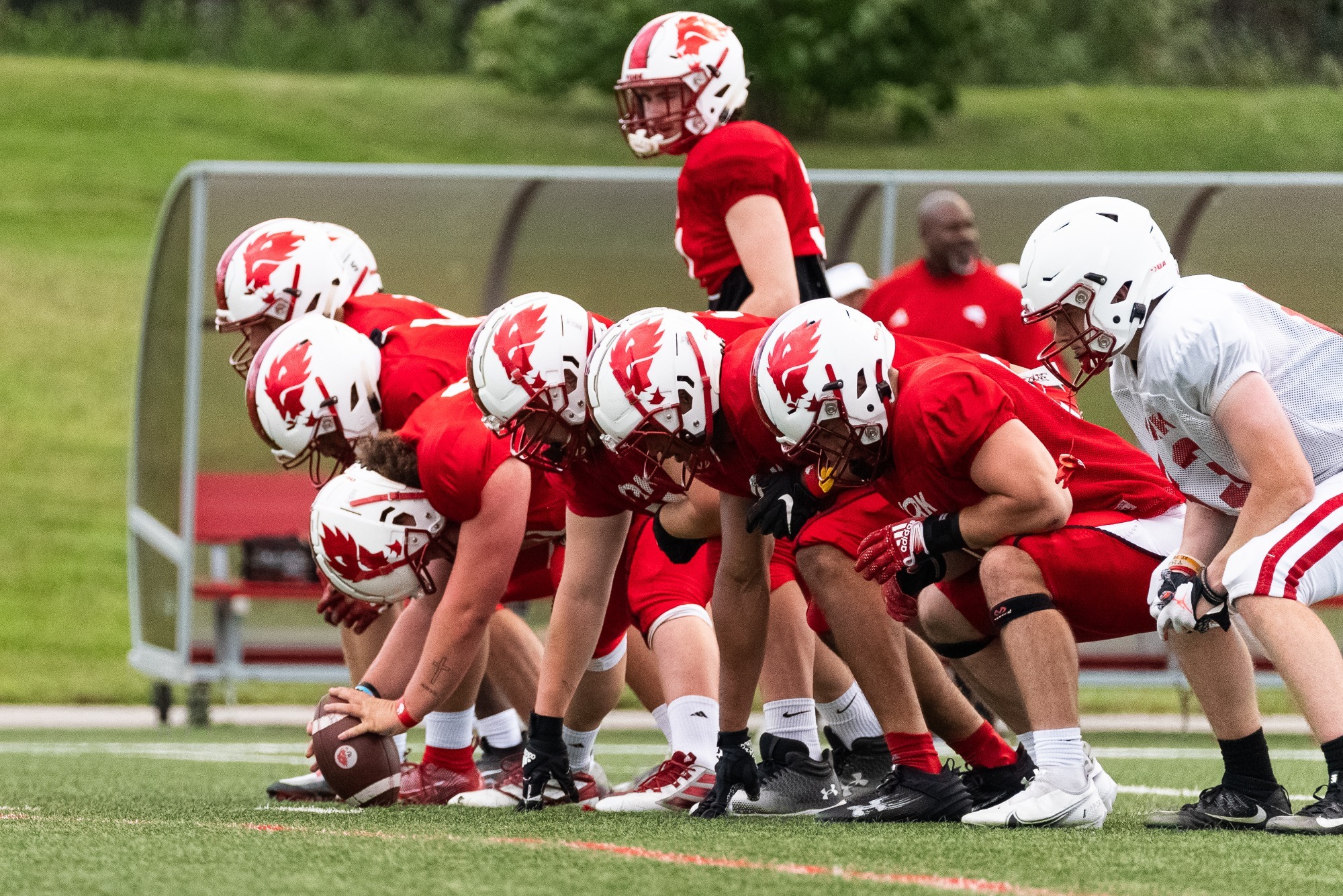 2023 LIONS FOOTBALL SEASON PREVIEW - York University Athletics