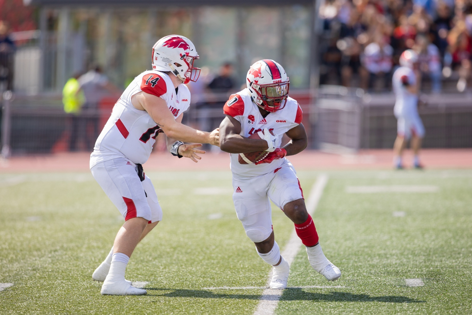 Owen Webb - Football - York University Athletics