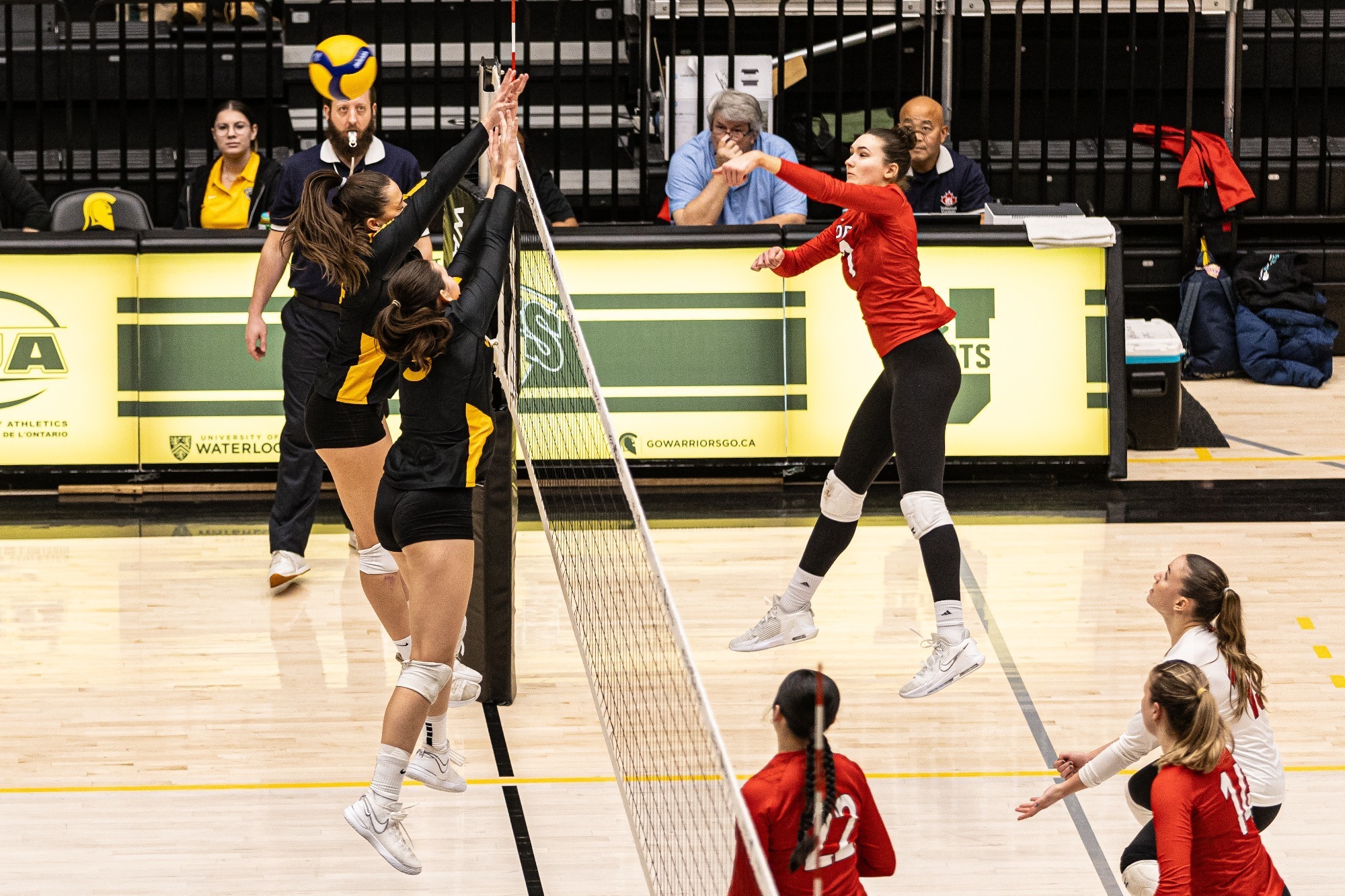 LIONS DROP FRONT HALF OF WEEKEND SET WITH WARRIORS IN STRAIGHT SETS ...