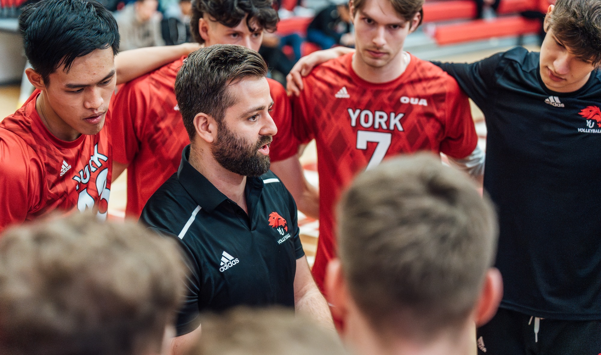LIONS NAME JORDAN TAYLOR AS MEN’S VOLLEYBALL HEAD COACH - York ...