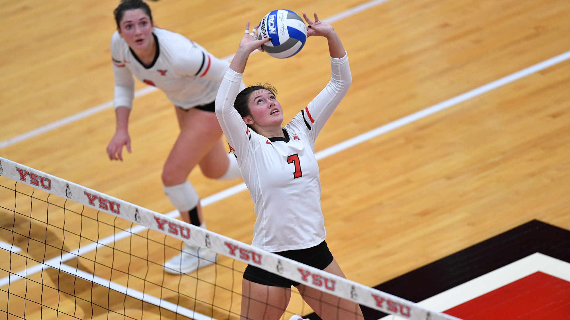 Isabel Schaefbauer - 2024 - Volleyball - Youngstown State University