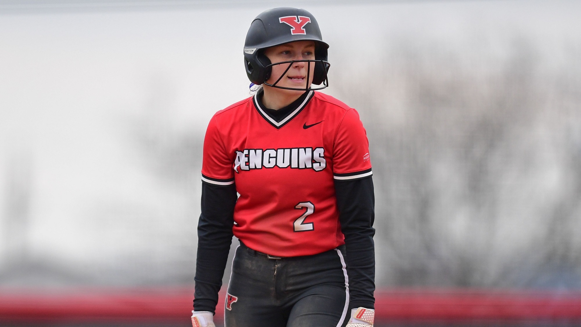 Softball Falls to Detroit Mercy in Series Finale, 4-2 - Youngstown ...